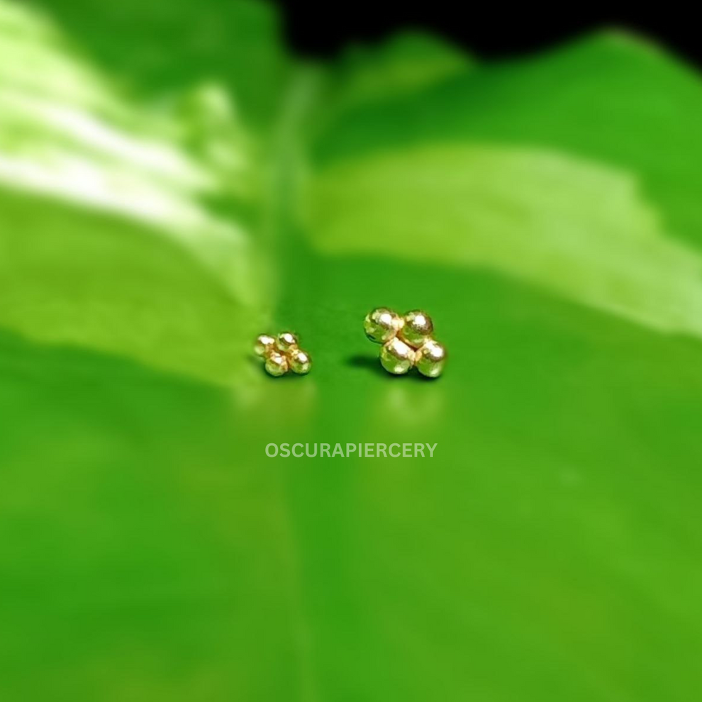 QUAD BEAD | Oscura Piercery – Leviticus Body Artistry